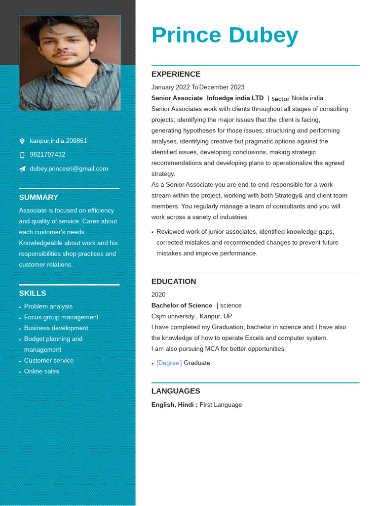 Prince - Dubey - CV New | PDF | Cognition