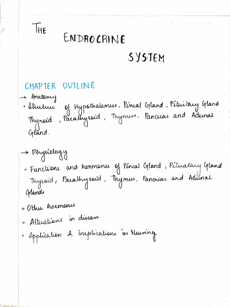 The Endocrine System | PDF