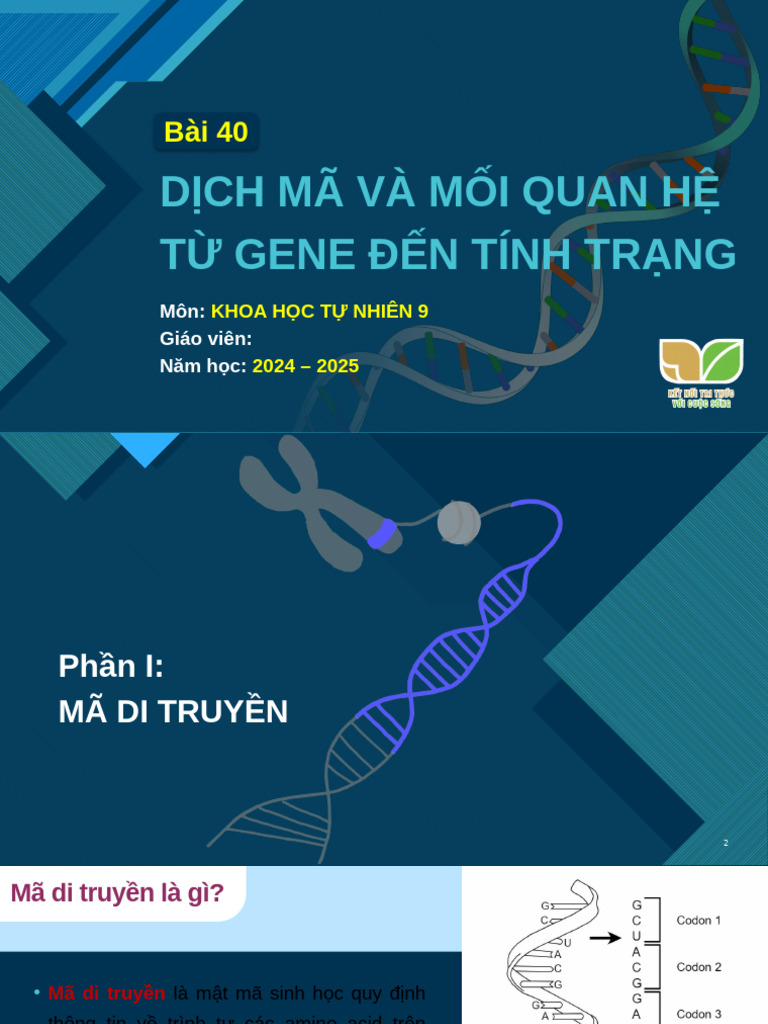 Bai 40 Dich Ma Va Moi Quan He Tu Gene Den Tinh Trang | PDF