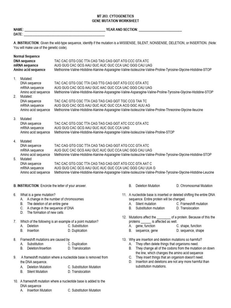 Mt 203 Gene Mutation Worksheet | PDF | Point Mutation | Mutation