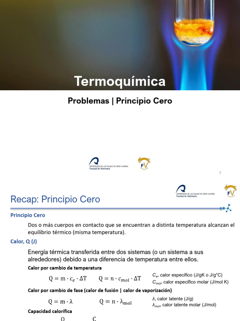 Q01b - Termoquimica - Problemas Principio Cero Calor Especifico Calor Latente | PDF | Calor ...