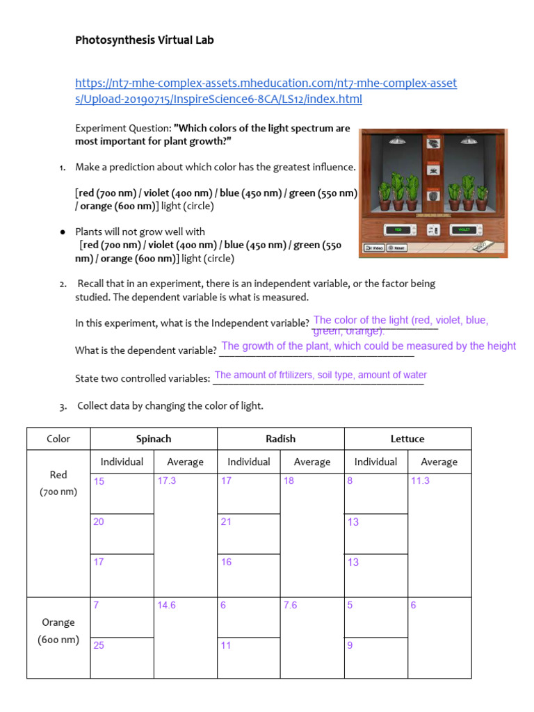 Photosynthesis Simulation | PDF | Color | Experiment