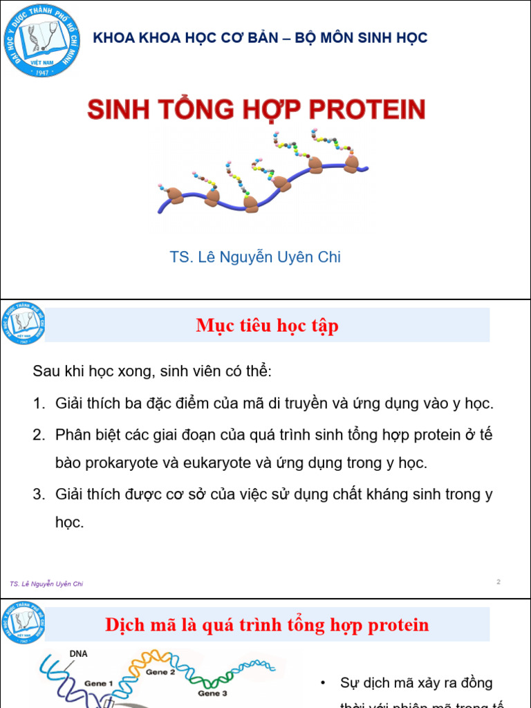Bai 4 - Sinh Tong Hop Protein - Uyen Chi | PDF