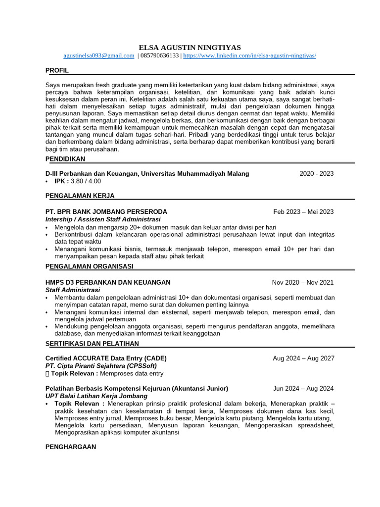 CV Elsa Admin | PDF | Karier & Perkembangan