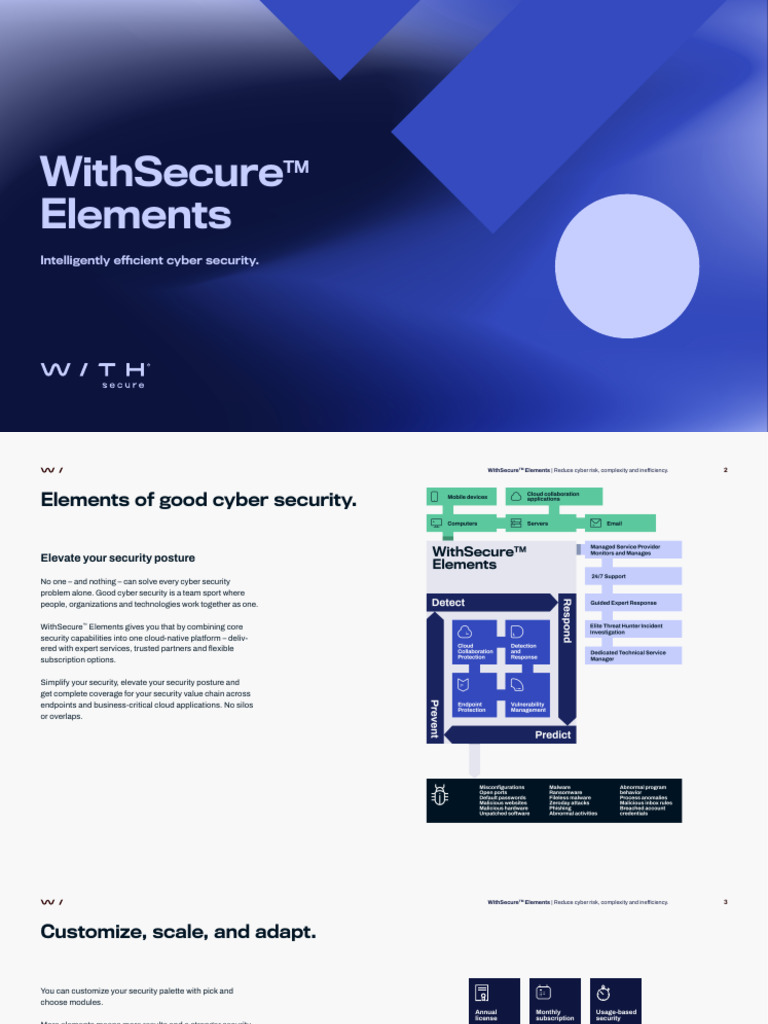 WS Elements Solution Brief | PDF | Security | Computer Security