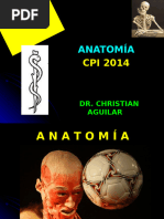 A34 Compartimentos Musculares Del Brazo y Antebrazo DR Daniel Lopez ...