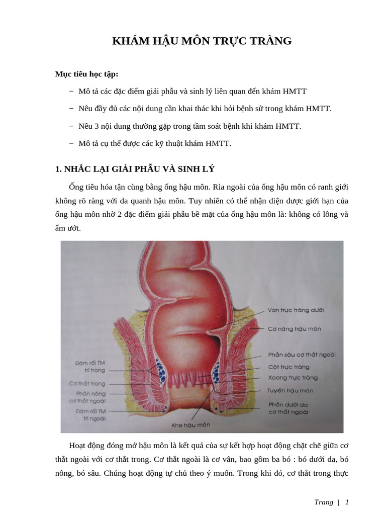 Thăm Khám HMTT | PDF