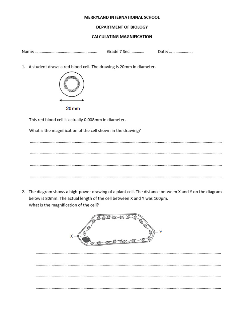 Calculating Magnification Answer Key | PDF | Optics