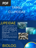 Pakol Fish: Characteristics and Habitat | PDF