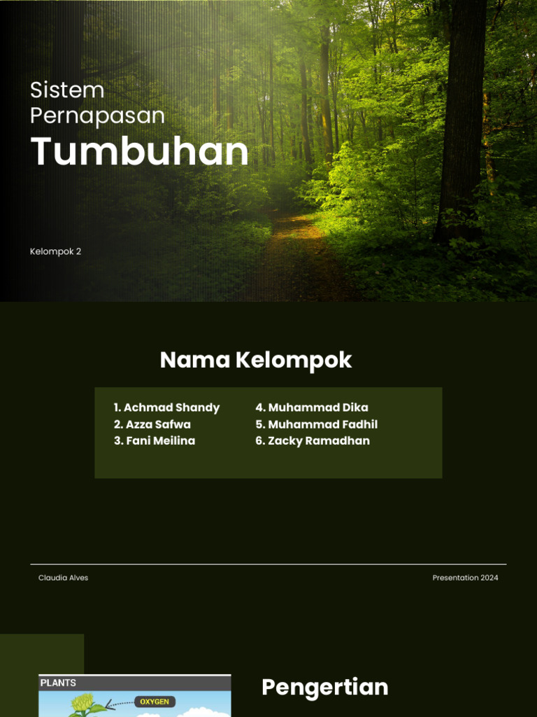 Sistem Pernapasan - 20241015 - 103639 - 0000 | PDF | Sains & Matematika