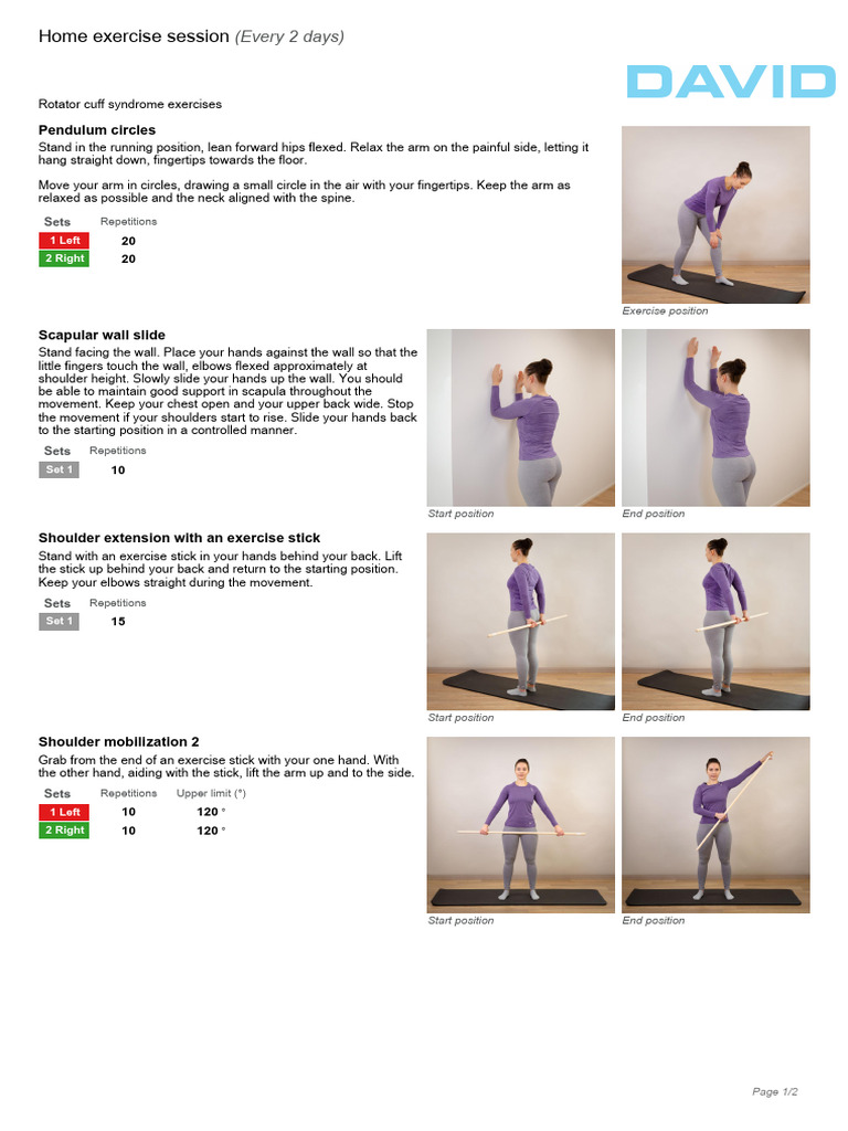 Home Exercises Rotator Cuff ENG | PDF | Elbow | Anatomical Terms Of Motion