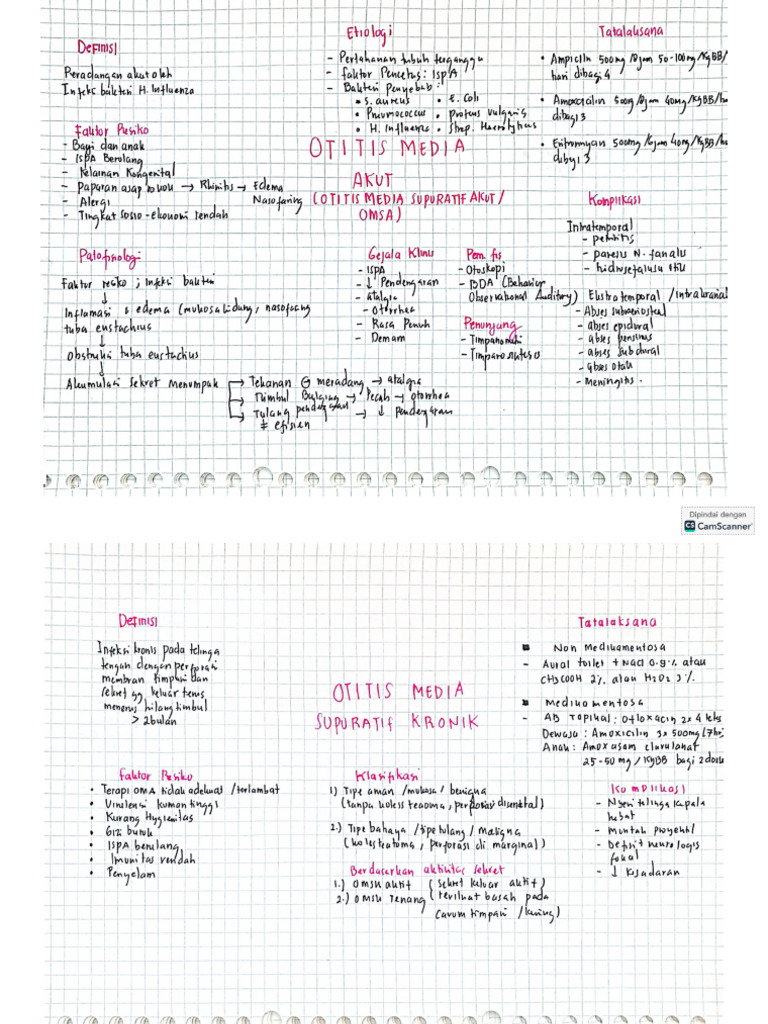 Otitis Media Mind Map | PDF