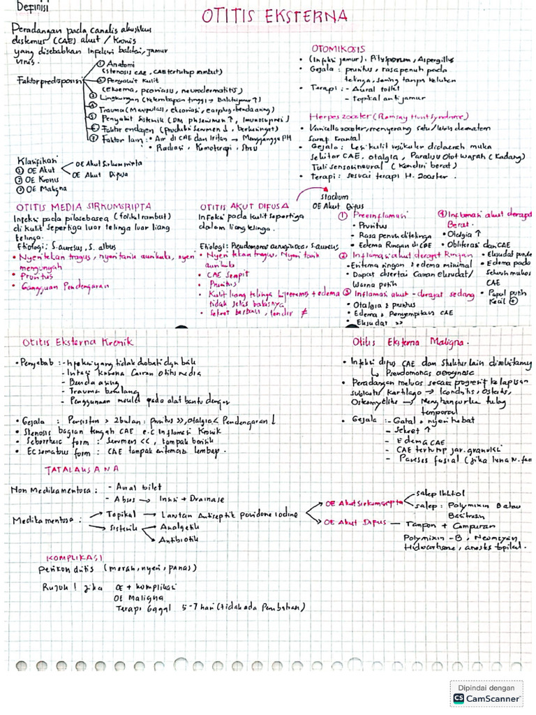 OTITIS EKSTERNA MIND MAP | PDF