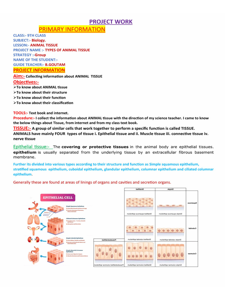 9th FA2 Animal Tissue | PDF