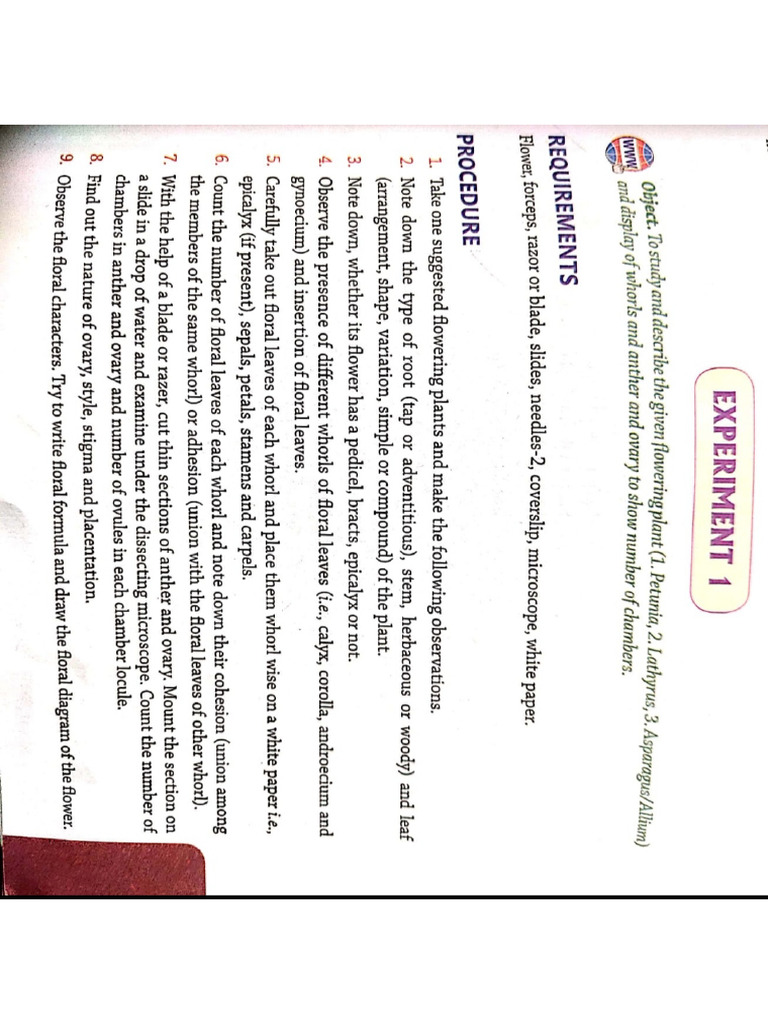 XI Experiments | PDF