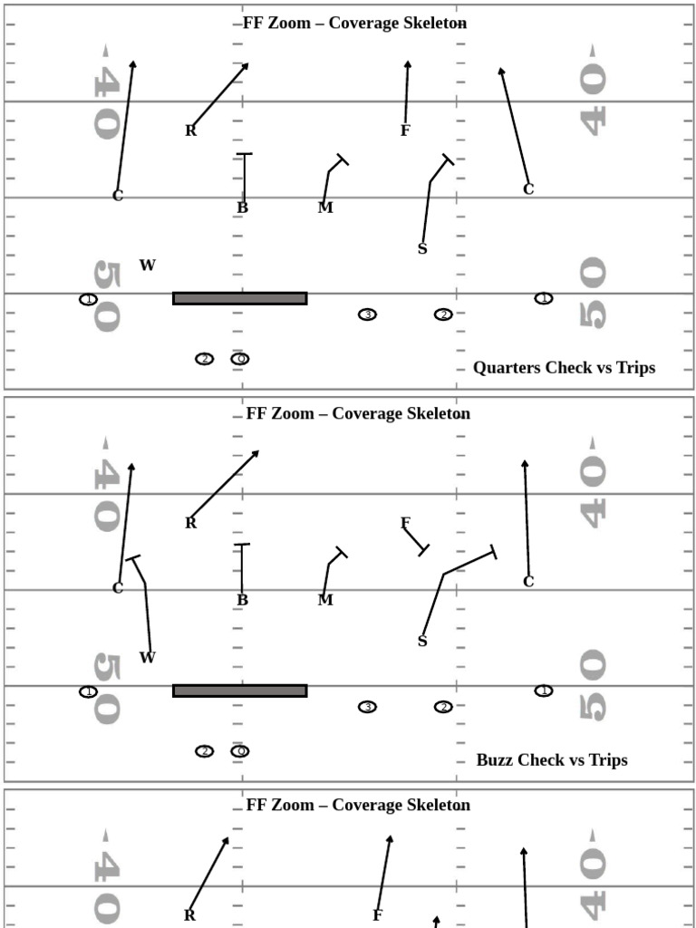 Coverage Skeleton Checks Vs Trips | PDF