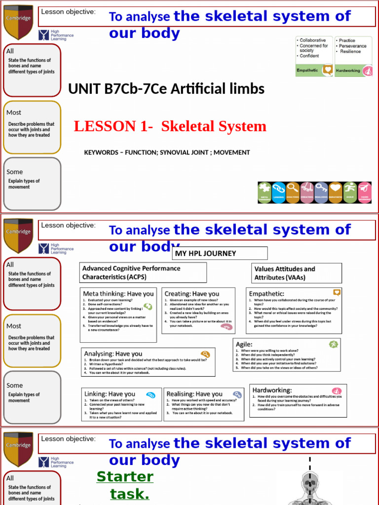 Lesson 1 Skeletal System | PDF | Skeleton | Anatomical Terms Of Motion