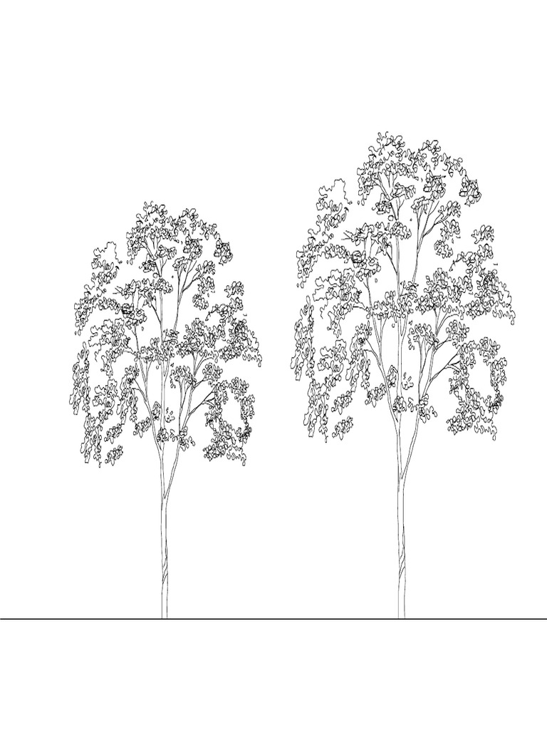 ARBOLES 1 100 EN VISTA2 | PDF