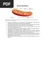 Cell Structure PMT Notes | PDF | Cell (Biology) | Endoplasmic Reticulum