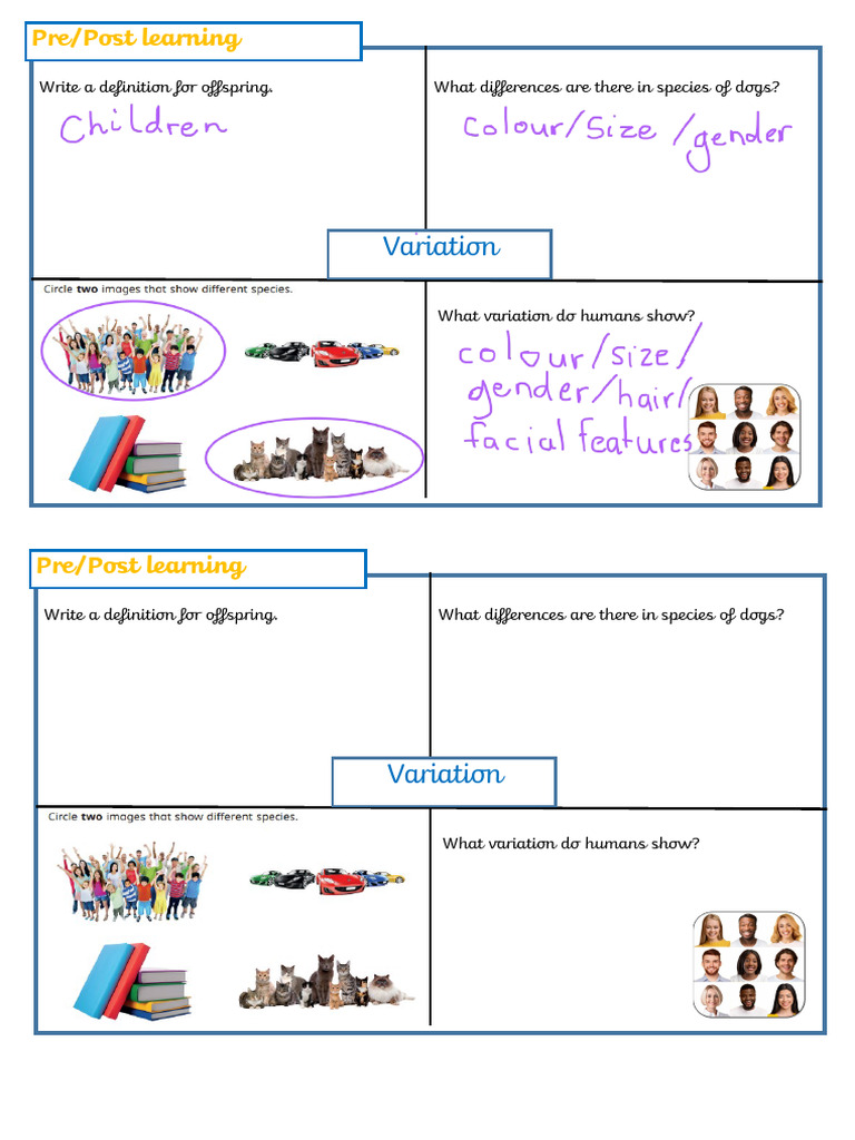 Pre and Post Learning | PDF