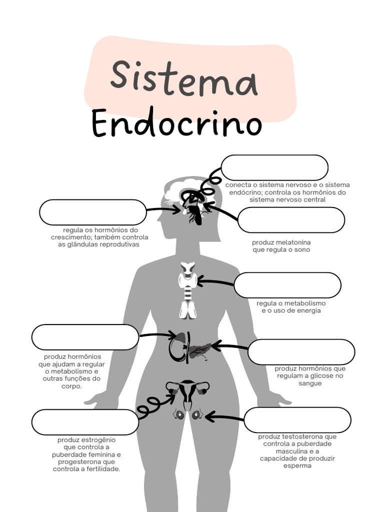Parts of the Human Endocrine System Science Poster in Pastel Pink Rose ...