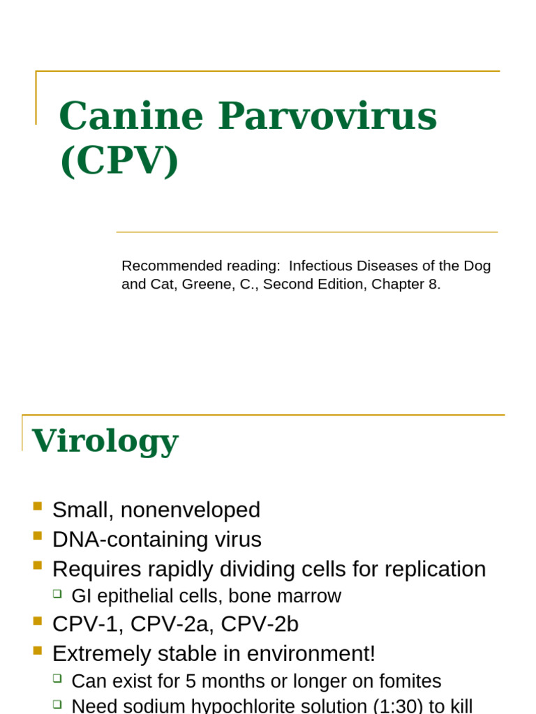 Canine Parvovirus - Coronavirus | PDF | Medical Specialties | Clinical ...