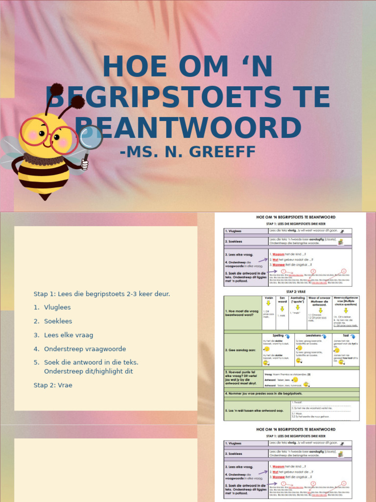Hoe Om N Begripstoets Te Beantwoord | PDF