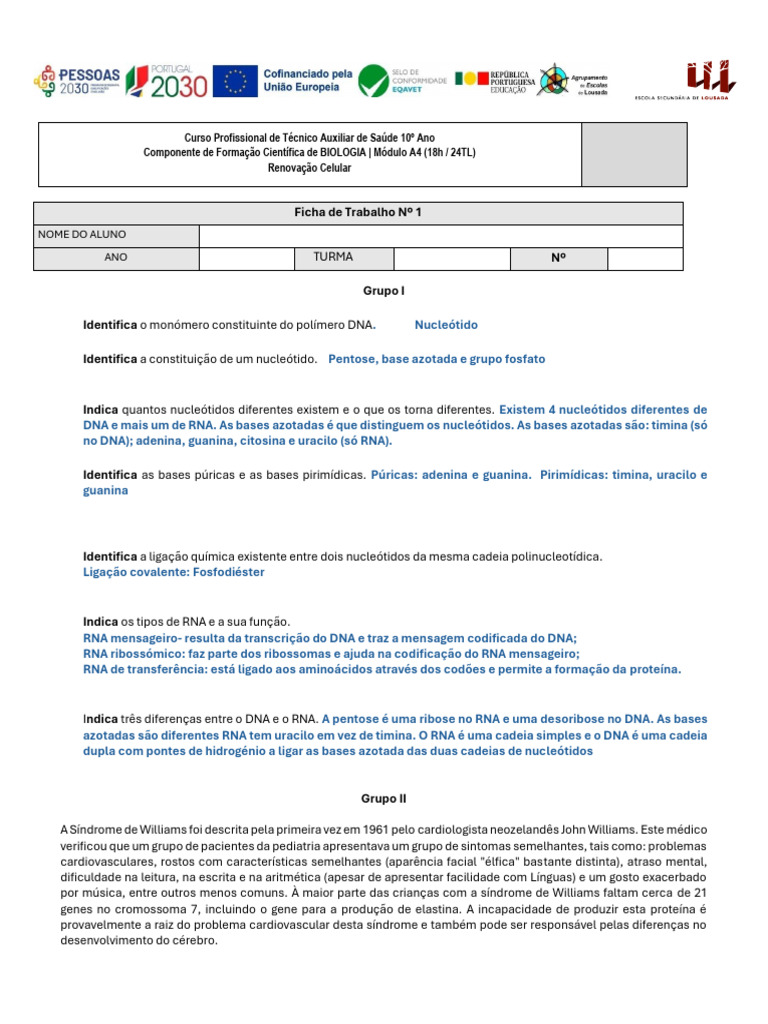 Estrutura e Função do DNA e RNA | PDF | DNA | RNA