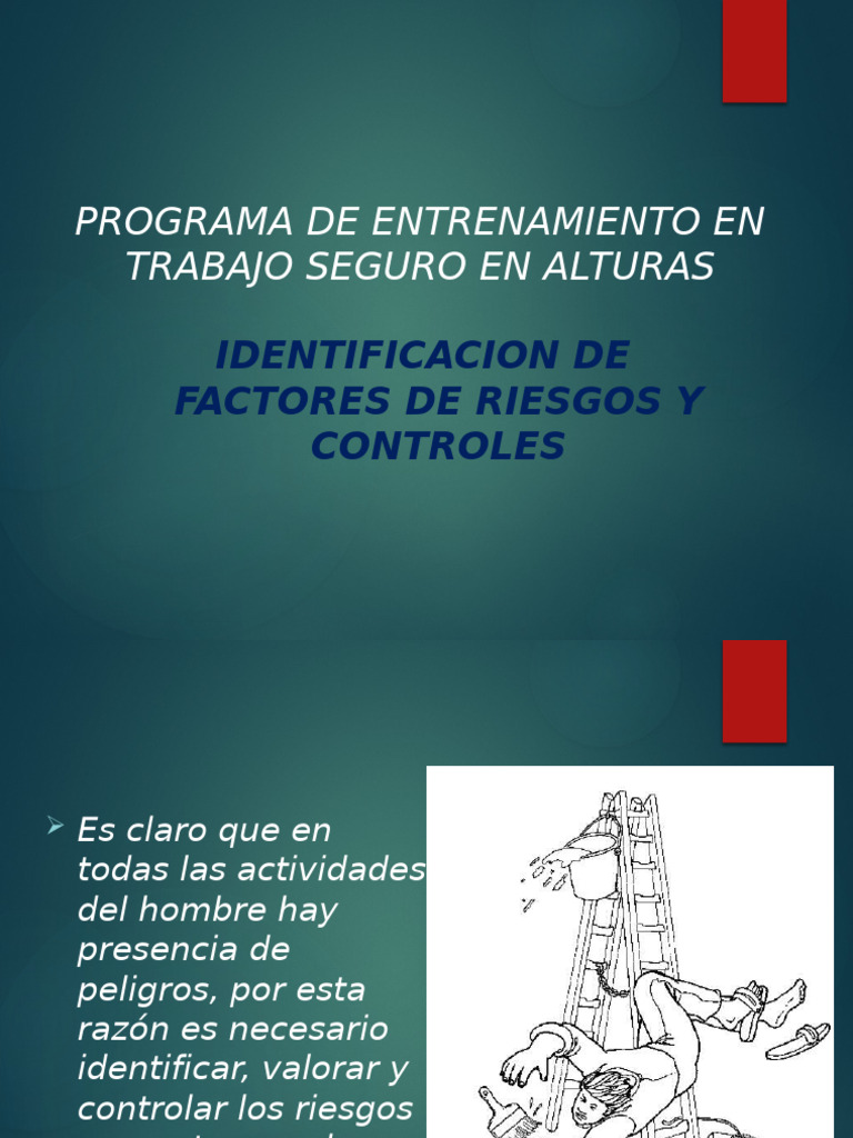 Identificacion de Peligros y Riesgo | PDF | Riesgo | Valores