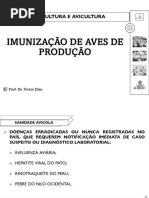 Uso e Bula da Vacina VAXXON IBR | PDF | Vacinas | Vírus