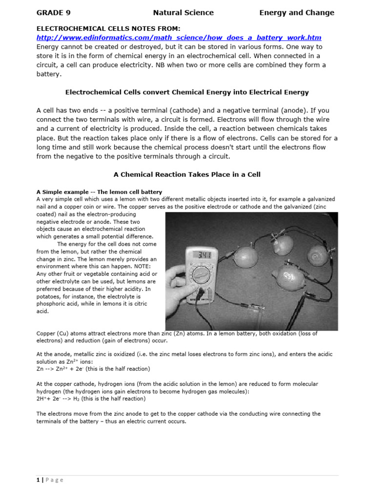 electrochemical-cells | PDF | Electrochemistry | Anode