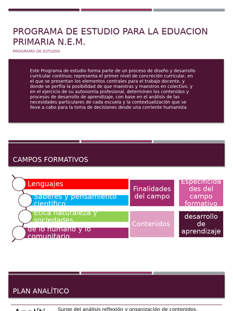 Programa de Estudio para La Eduacion Primaria N | PDF