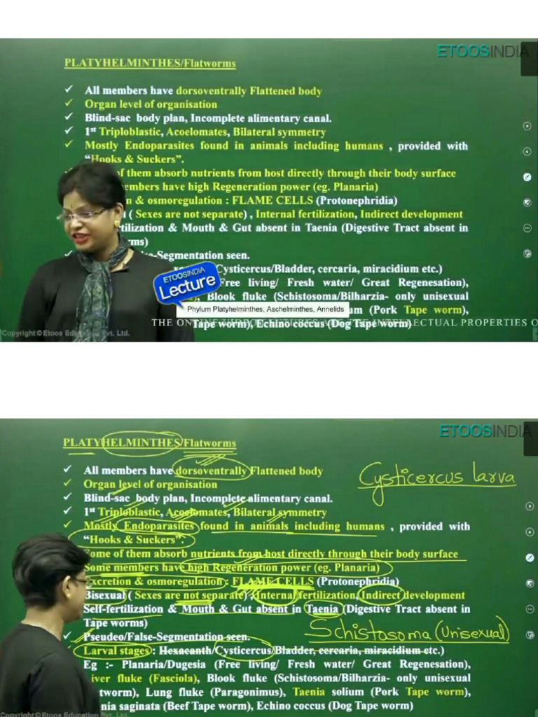 Animal Kingdom Lec3 | PDF