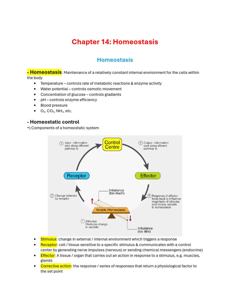 Components of Homeostasis Systems | PDF | Cell Signaling | Physiology