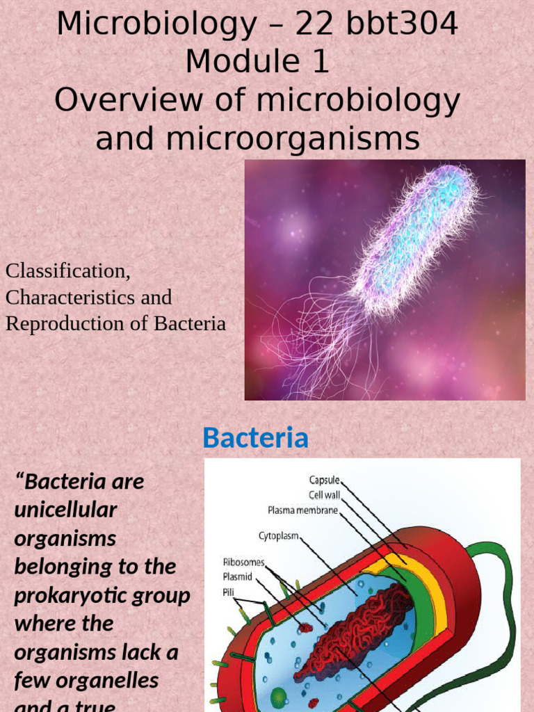 MicBio Module 1-5.bacteria Classification, Characteristics and ...