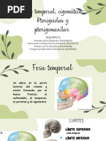 Fosa Pterigoidea y Pterigopalatina | PDF | Sistema esquelético ...