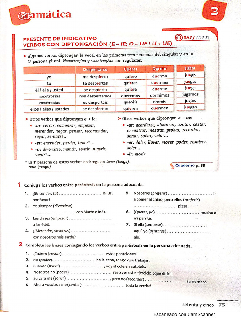 Presente Irregular | PDF