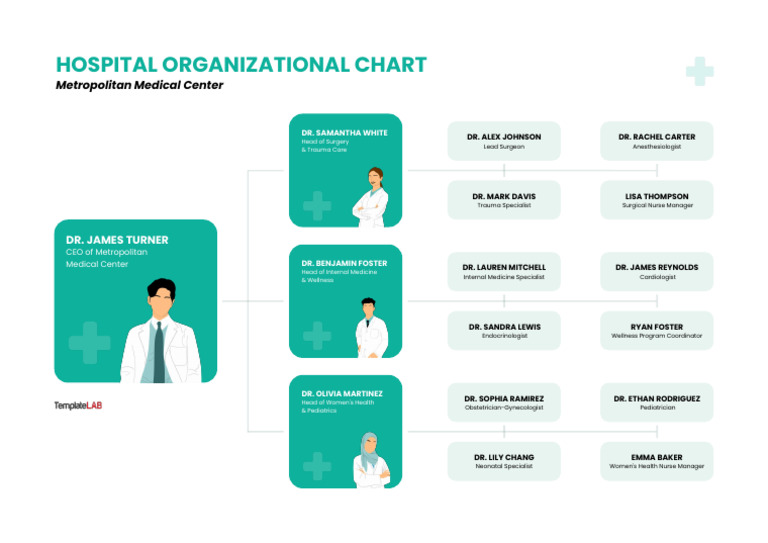 Hospital Organizational Chart | PDF | Self-Improvement
