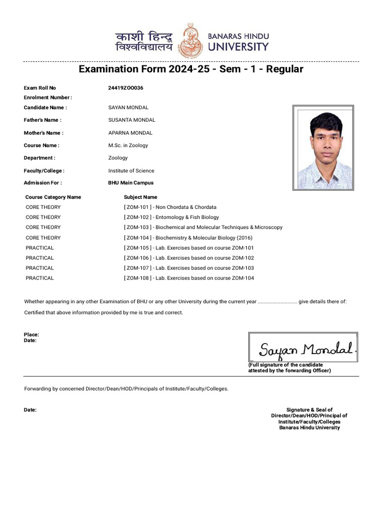 Examination Form 2024-25 - Sem - 1 - Regular | PDF