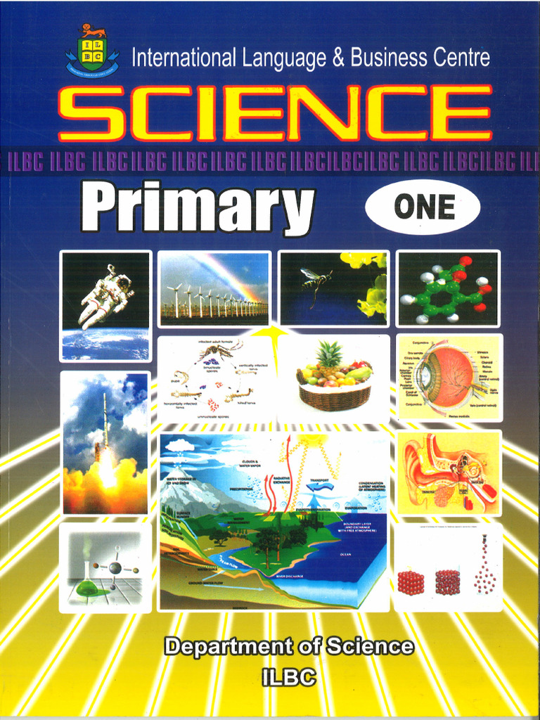 P1 Science ( Chapter 1 ) | PDF