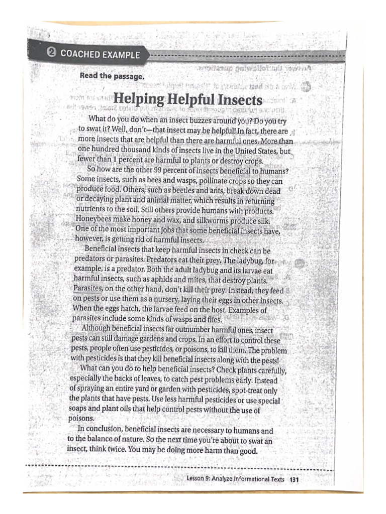 Helping Helpful Insects | PDF