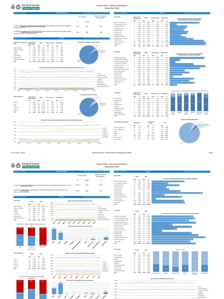 Diversity Dashboard | PDF | Inspector | Criminal Law