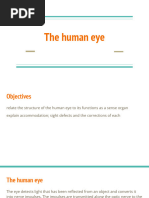 Grade 12 Life Science The Eye | PDF | Eye | Myopia