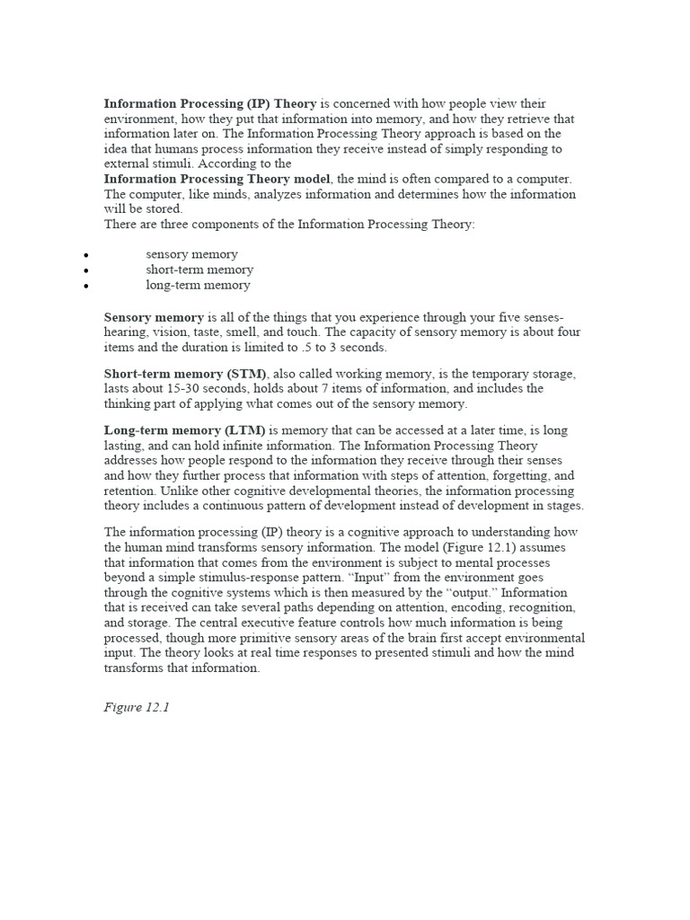 Information Processing Theory | PDF | Memory | Long Term Memory