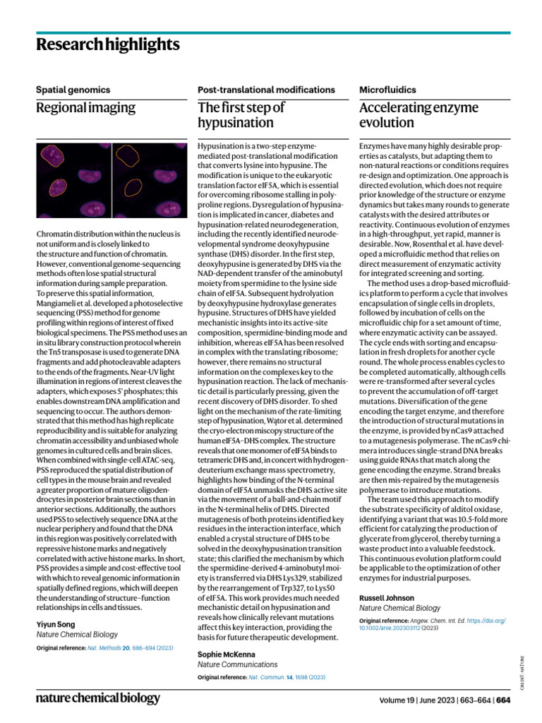 Research Highlights: Regional Imaging The First Step of Hypusination ...