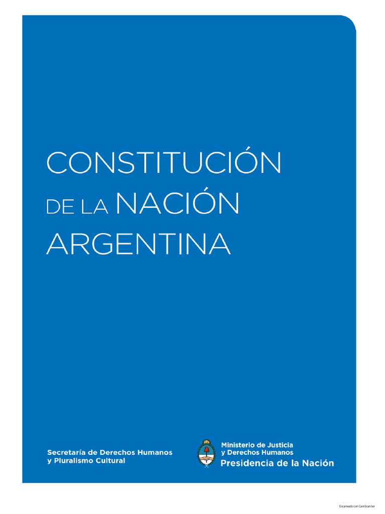 Constitución De La Nación Argentina Yani Pdf Pdf