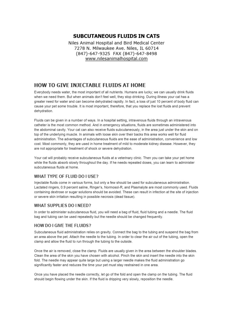 How To Give Subcutaneous Fluids To Your Cat | PDF | Clinical Medicine ...