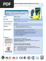 CSA Safety Footwear Markings Explained | PDF