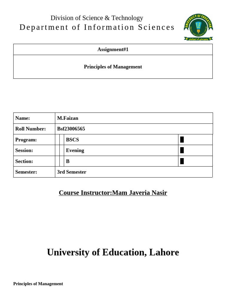 M.Faizan Bsf23006565 Management | PDF | Business | Business Economics