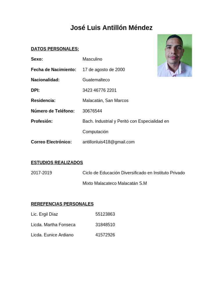 Curriculum Vitae Jose Luis | PDF